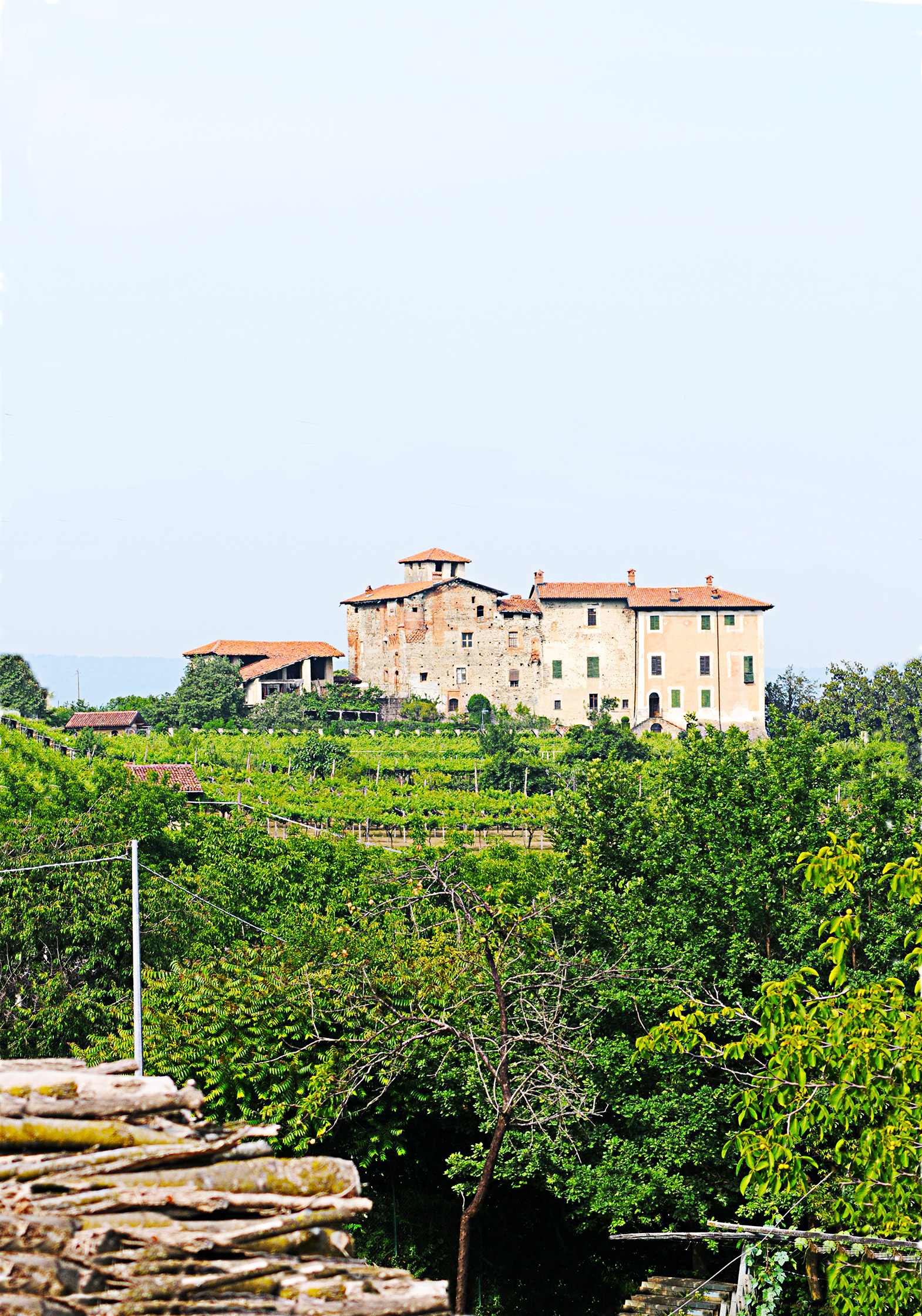 Welcome — Associazione Culturale Pedaneus